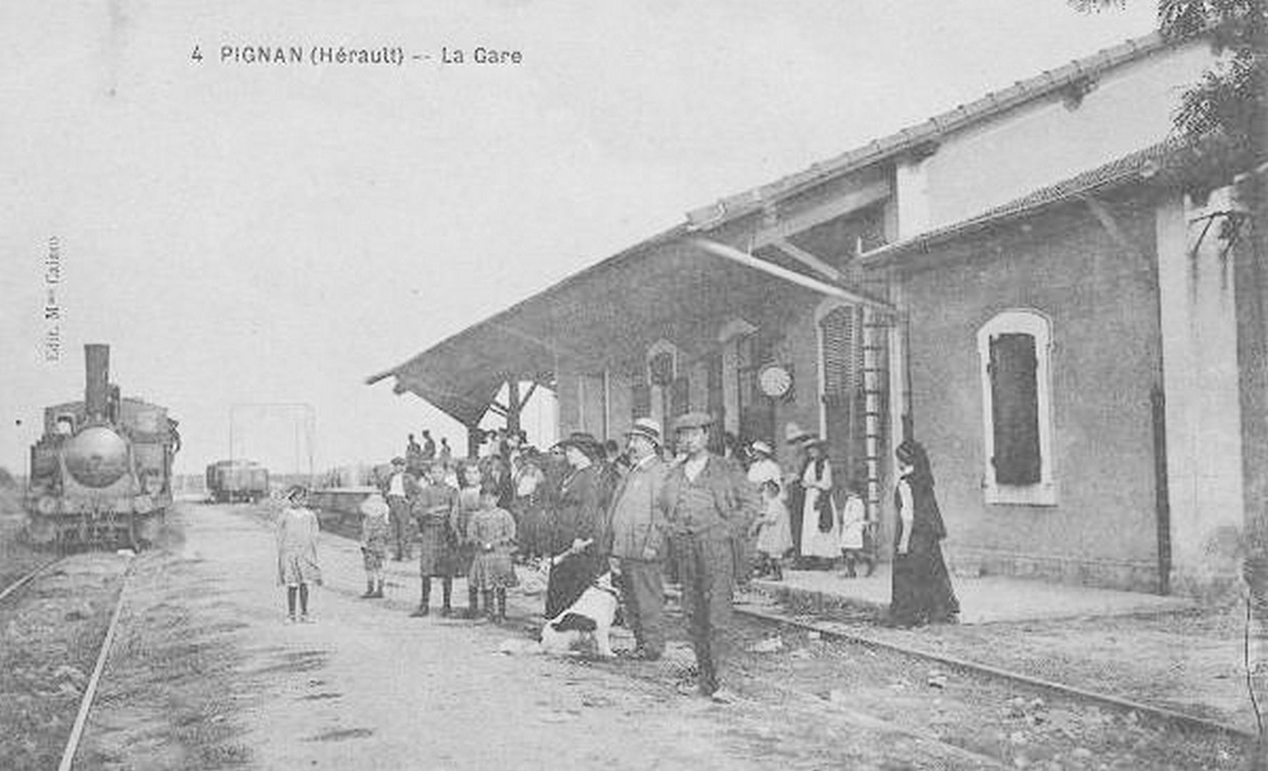 Pignan, un village historique - Pignan (34)