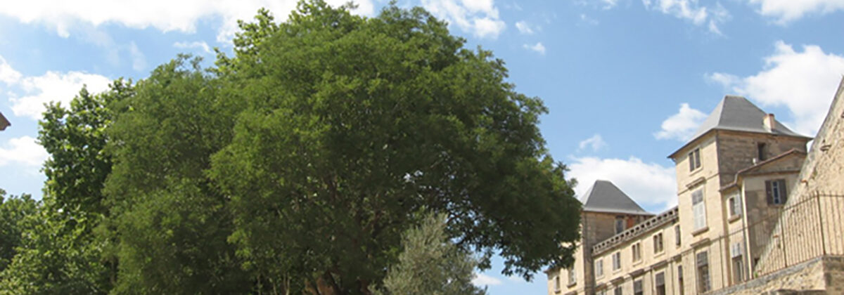 Pignan, un village historique - Pignan (34)