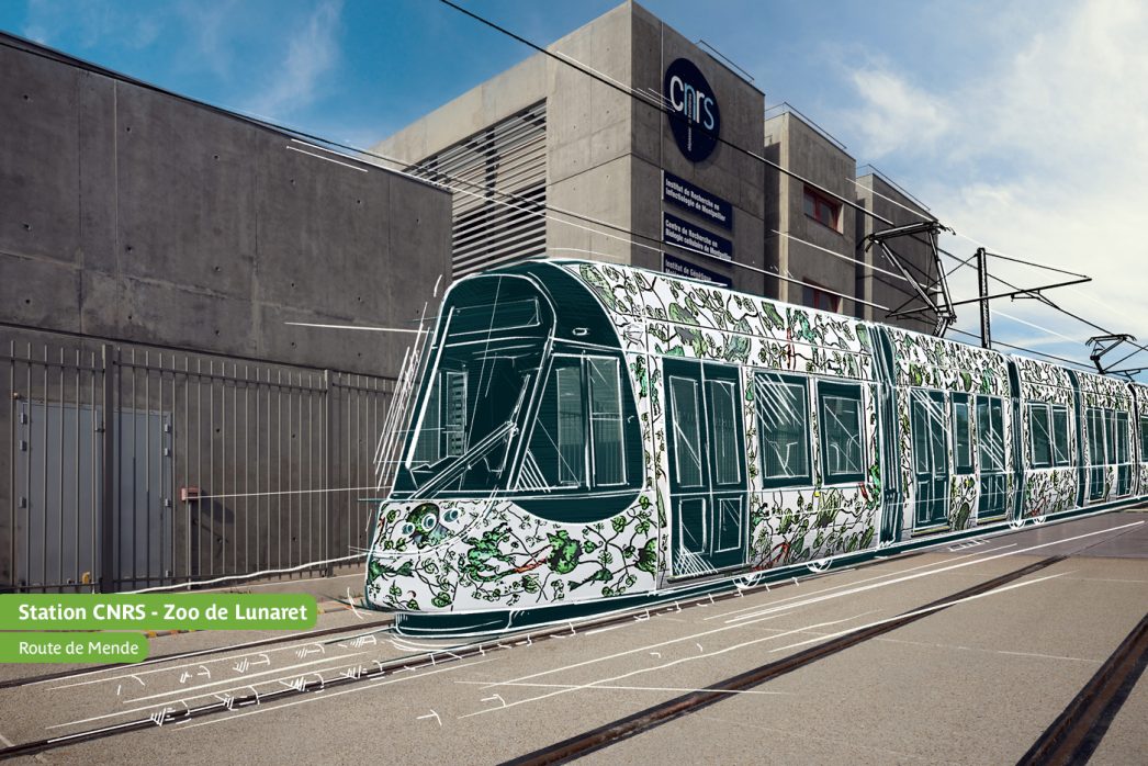 Découvrez la ligne 5 de tramway - Pignan (34)
